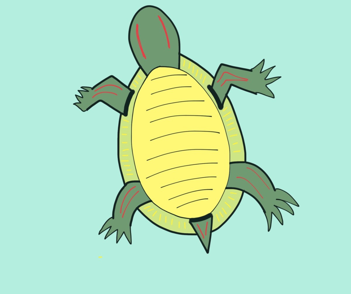 About – Tapped Lands